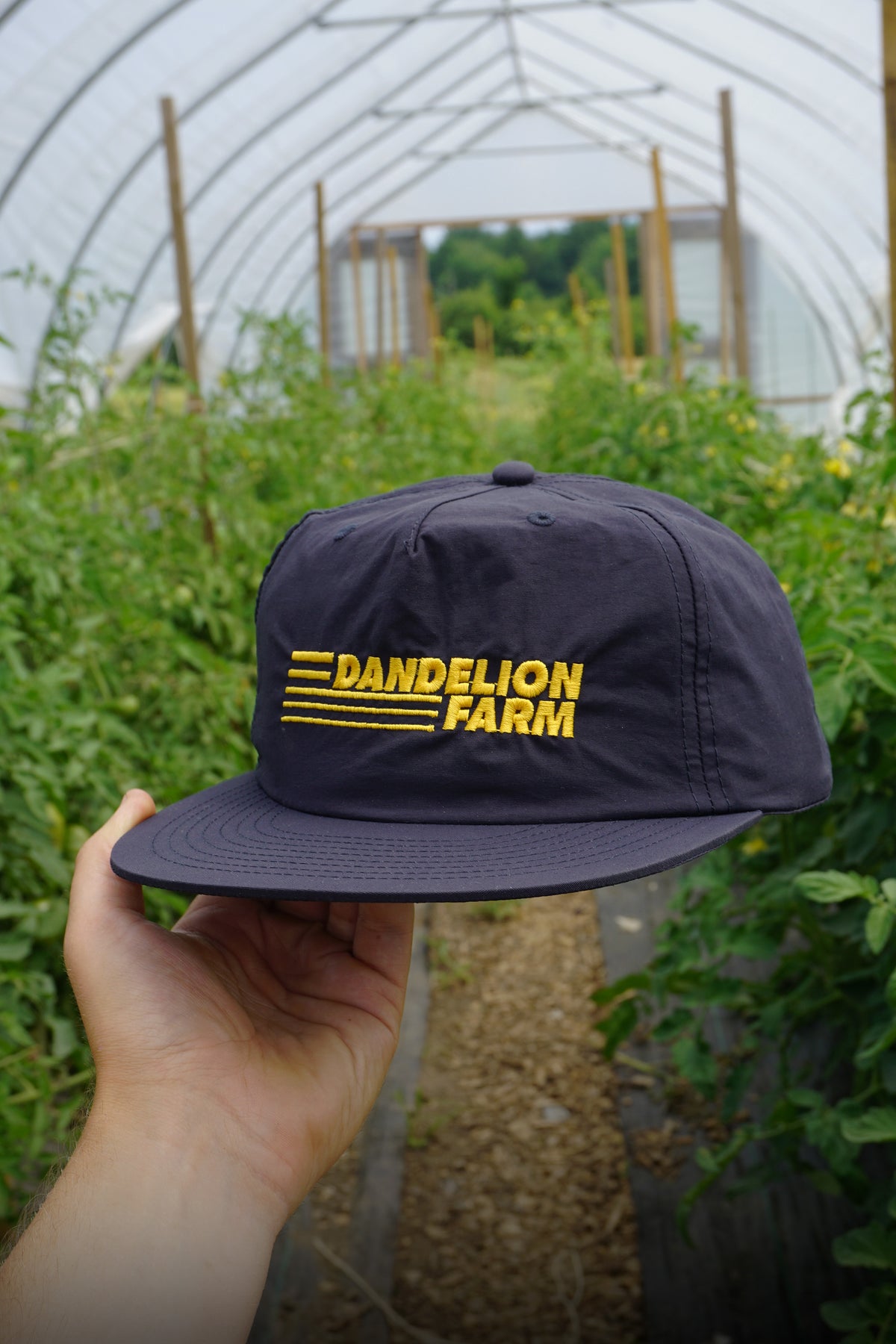 Dandelion Farm - Westford VT